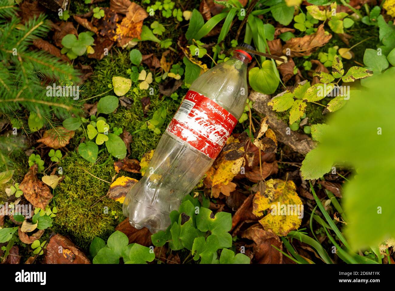 Old Coca cola bottle in the forest. Plastic recycling, pollution and ...