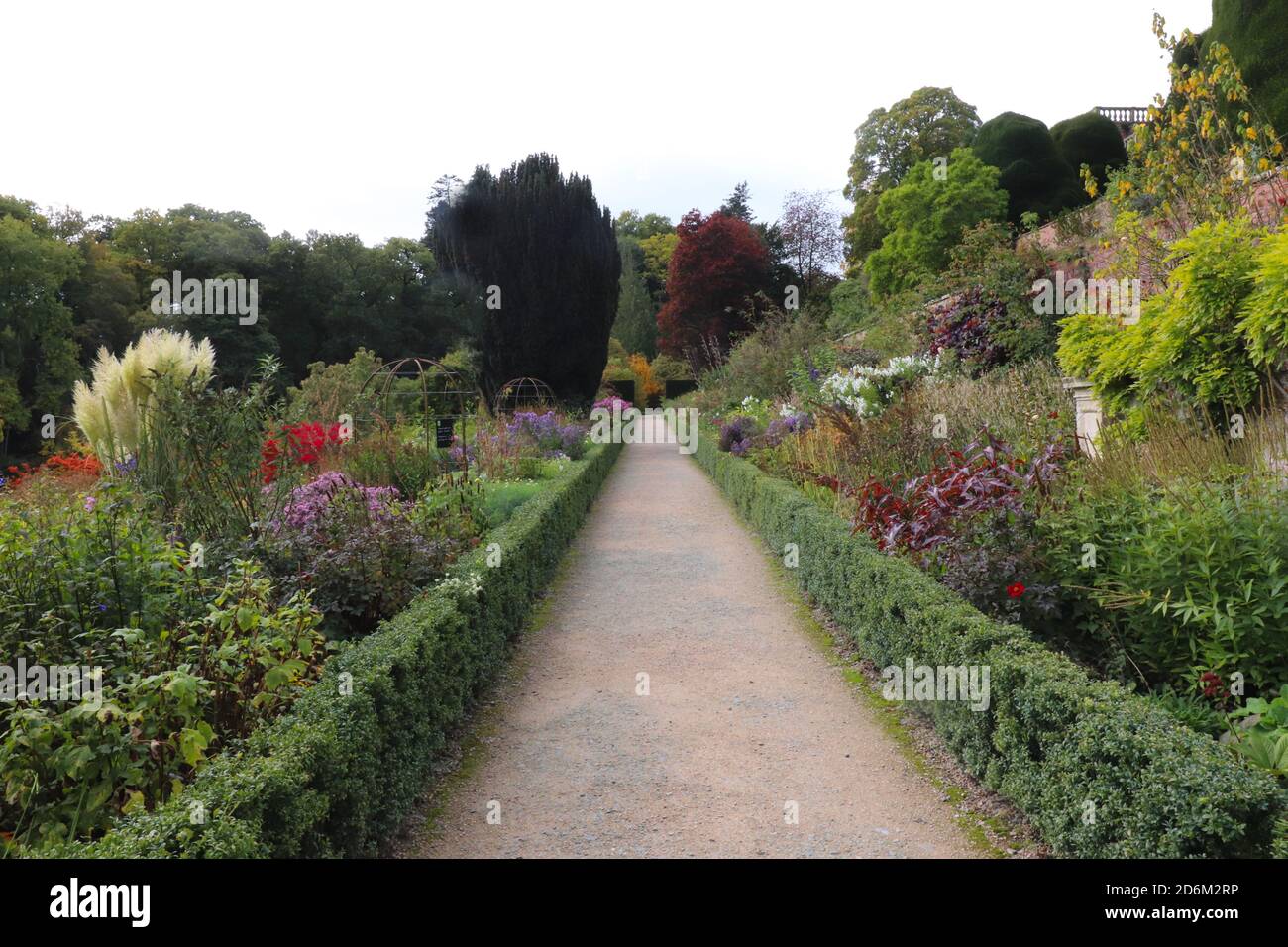 path through the garden Stock Photo - Alamy