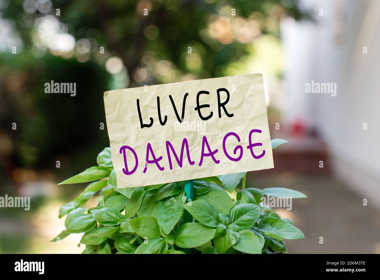 Word writing text Liver Damage. Business photo showcasing any disorder ...