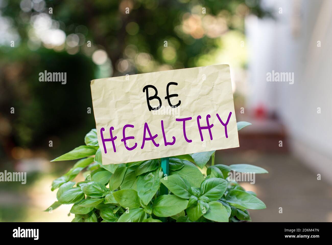 Word writing text Be Healthy. Business photo showcasing promote a state ...