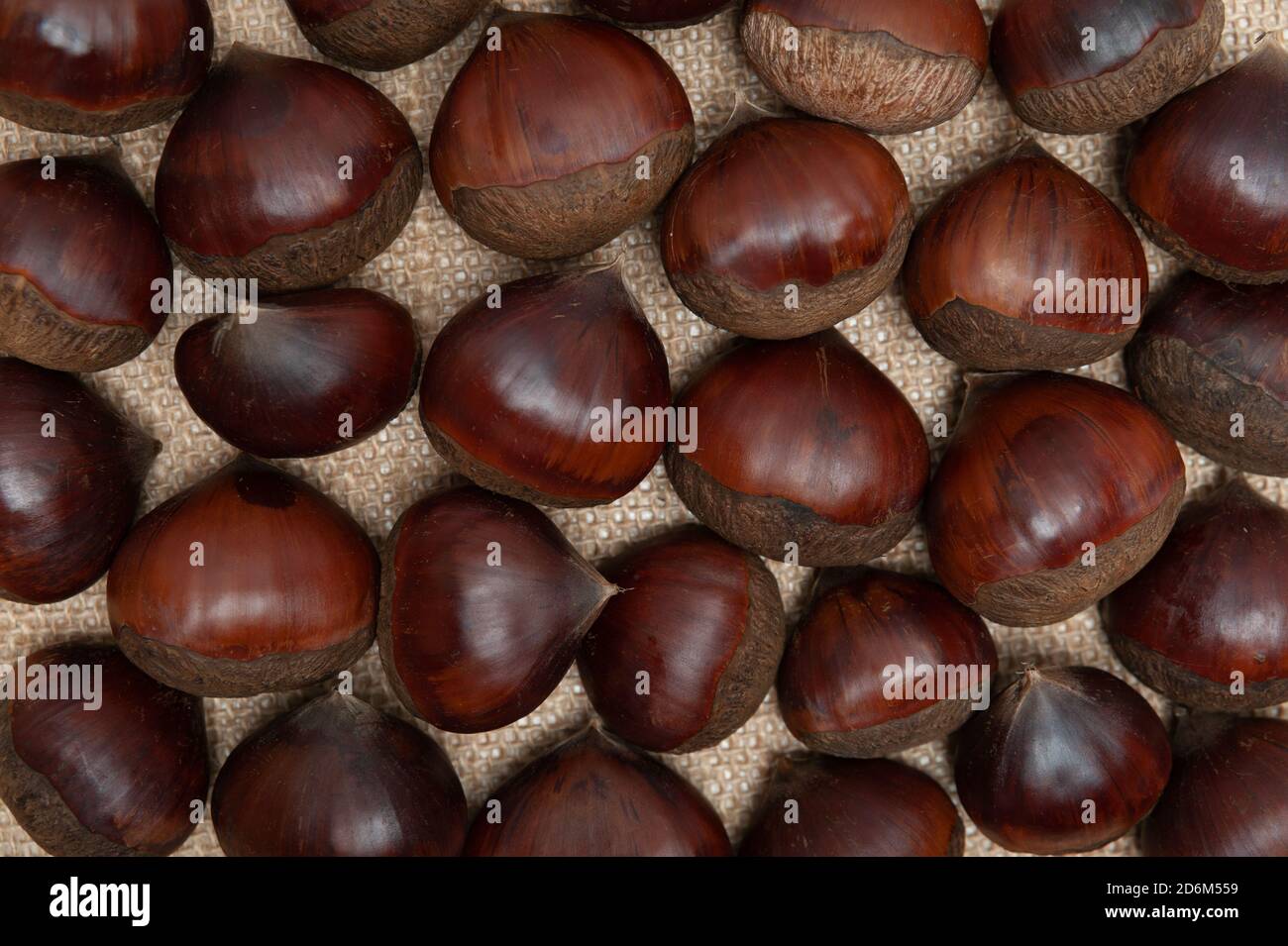 Japanese chestnuts hi-res stock photography and images - Alamy
