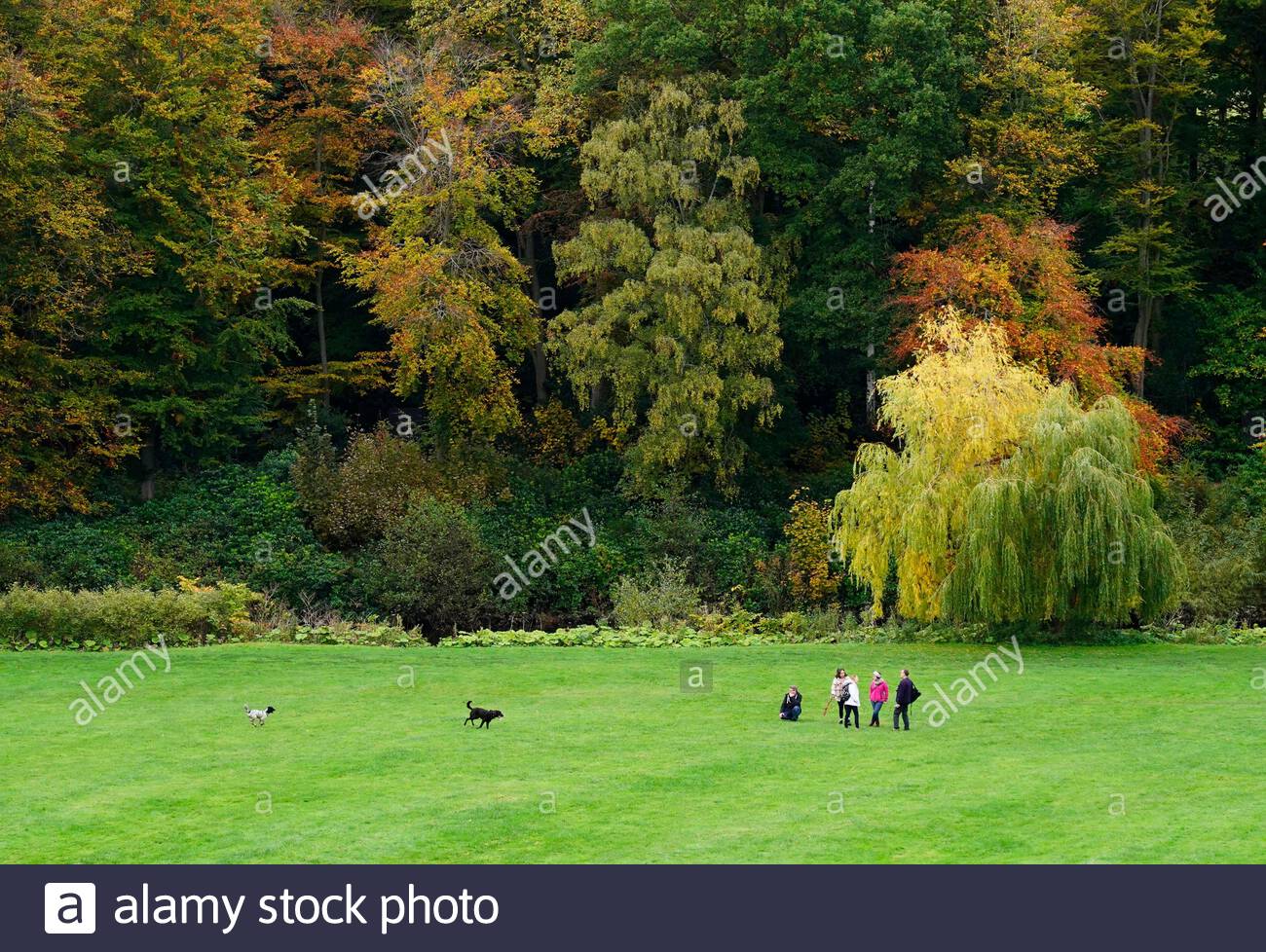 Dalkeith 2020 hi-res stock photography and images - Alamy