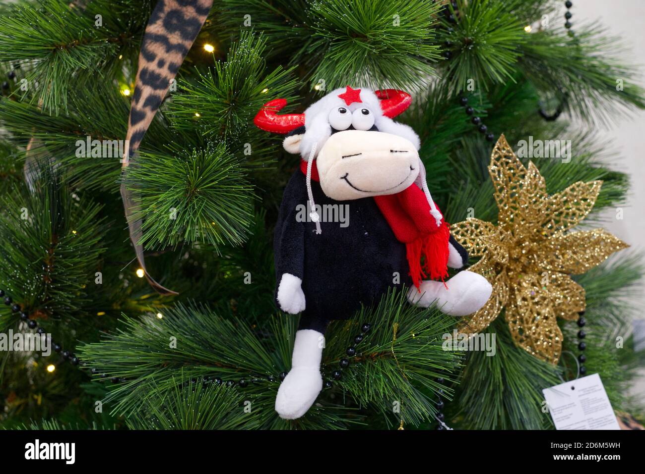 Red bull 2021 hi-res stock photography and images - Alamy