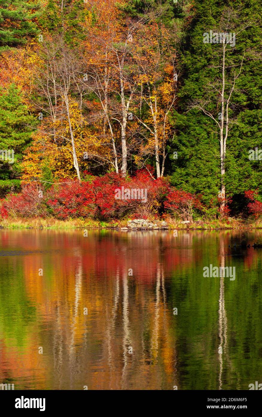 422-acre Promised Land Lake at Promised Land State Park is located in ...