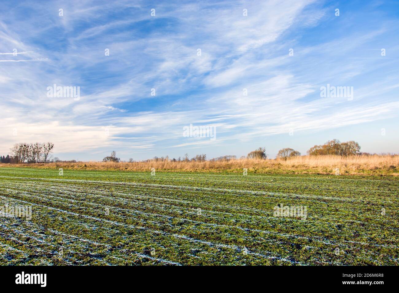 Green field winter hi-res stock photography and images - Alamy