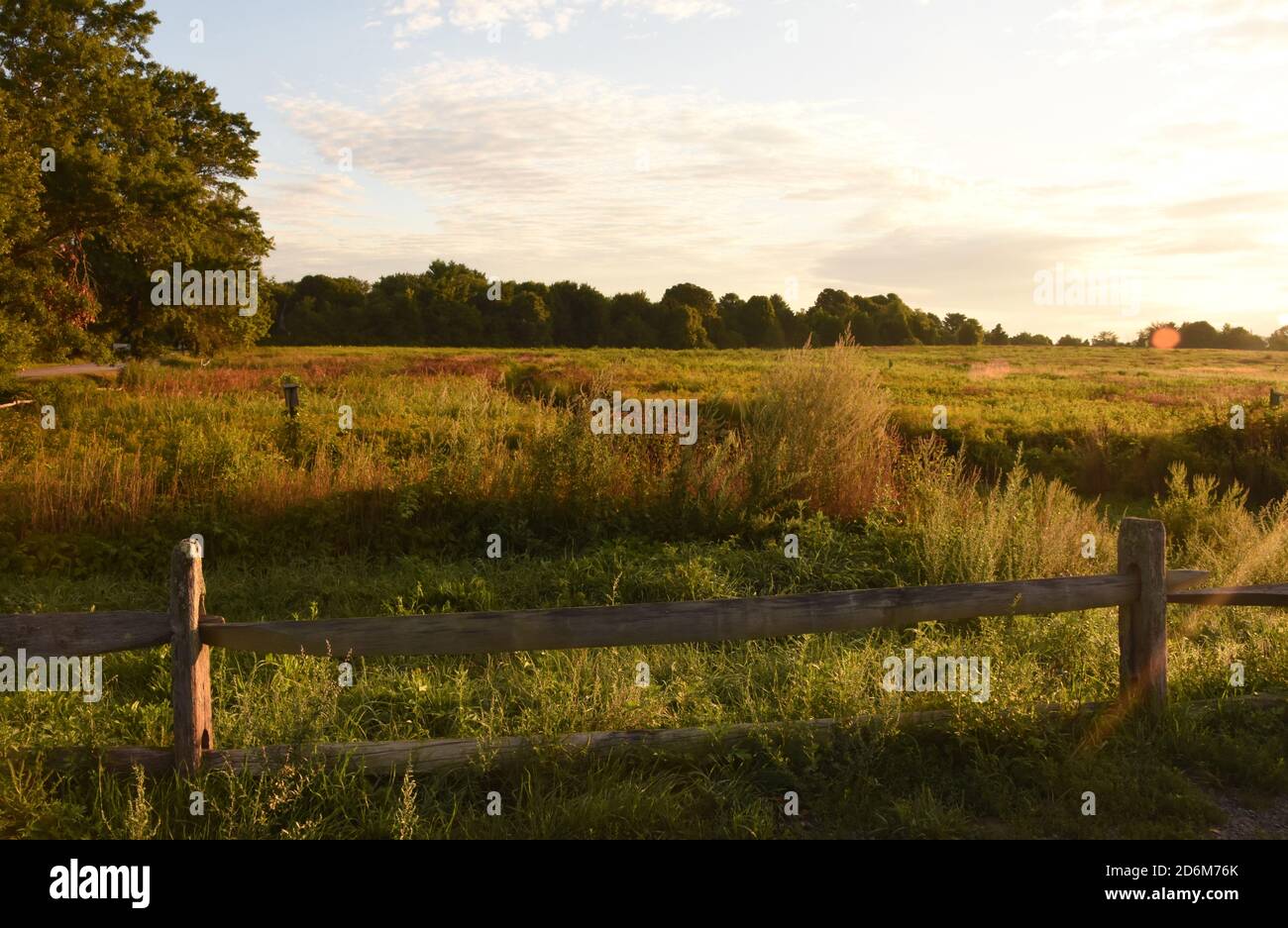 Beautiful view of a tree lined field in early morning hours Stock Photo ...