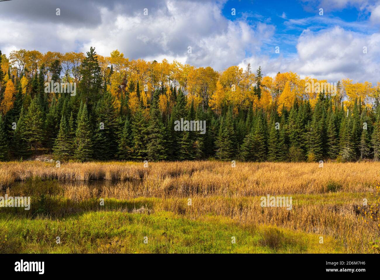 Fall foliage color near Kenora, Ontario, Canada Stock Photo - Alamy