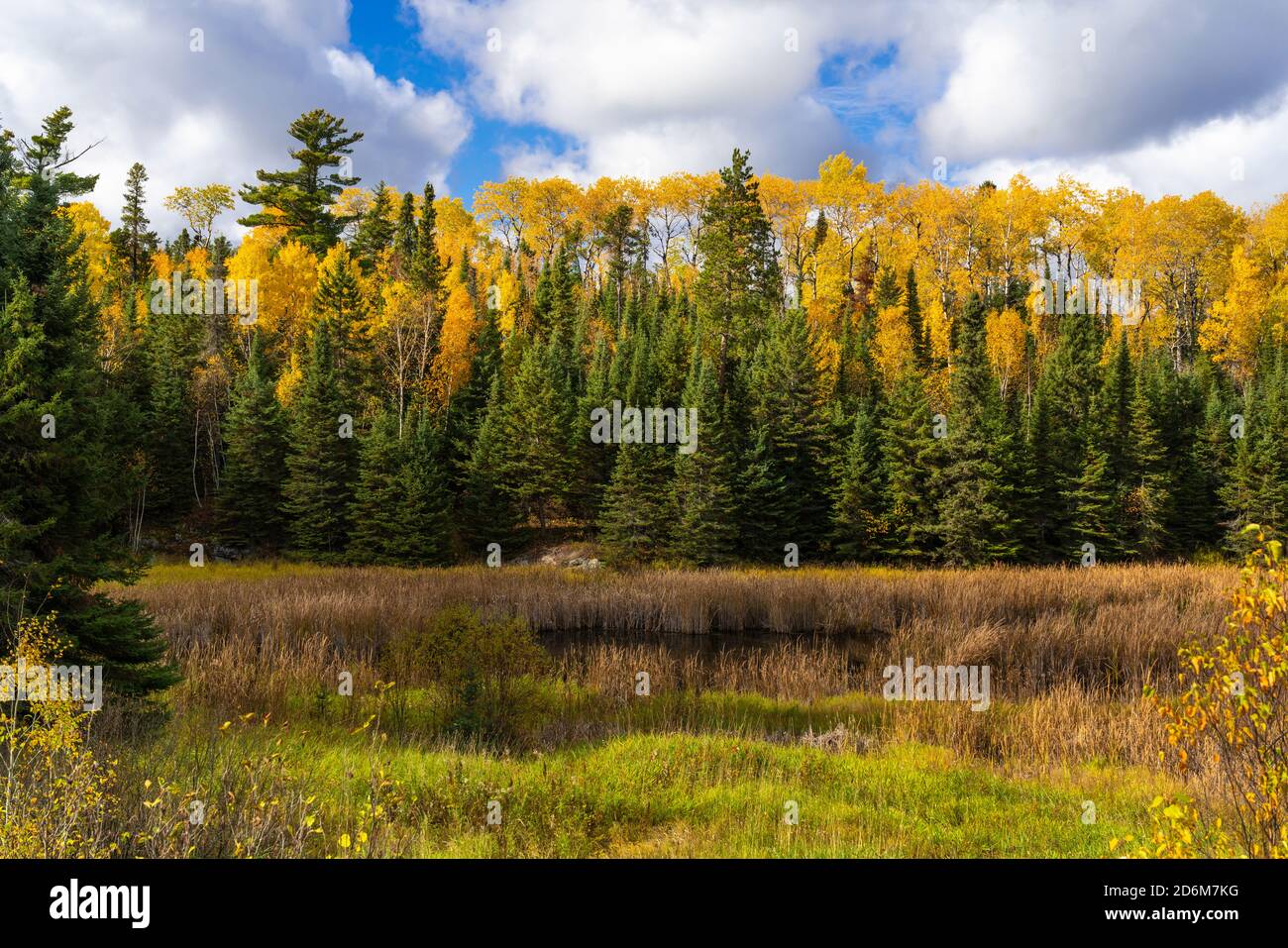 Fall foliage color near Kenora, Ontario, Canada Stock Photo - Alamy