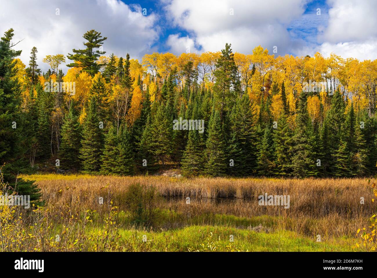 Fall foliage color near Kenora, Ontario, Canada Stock Photo - Alamy