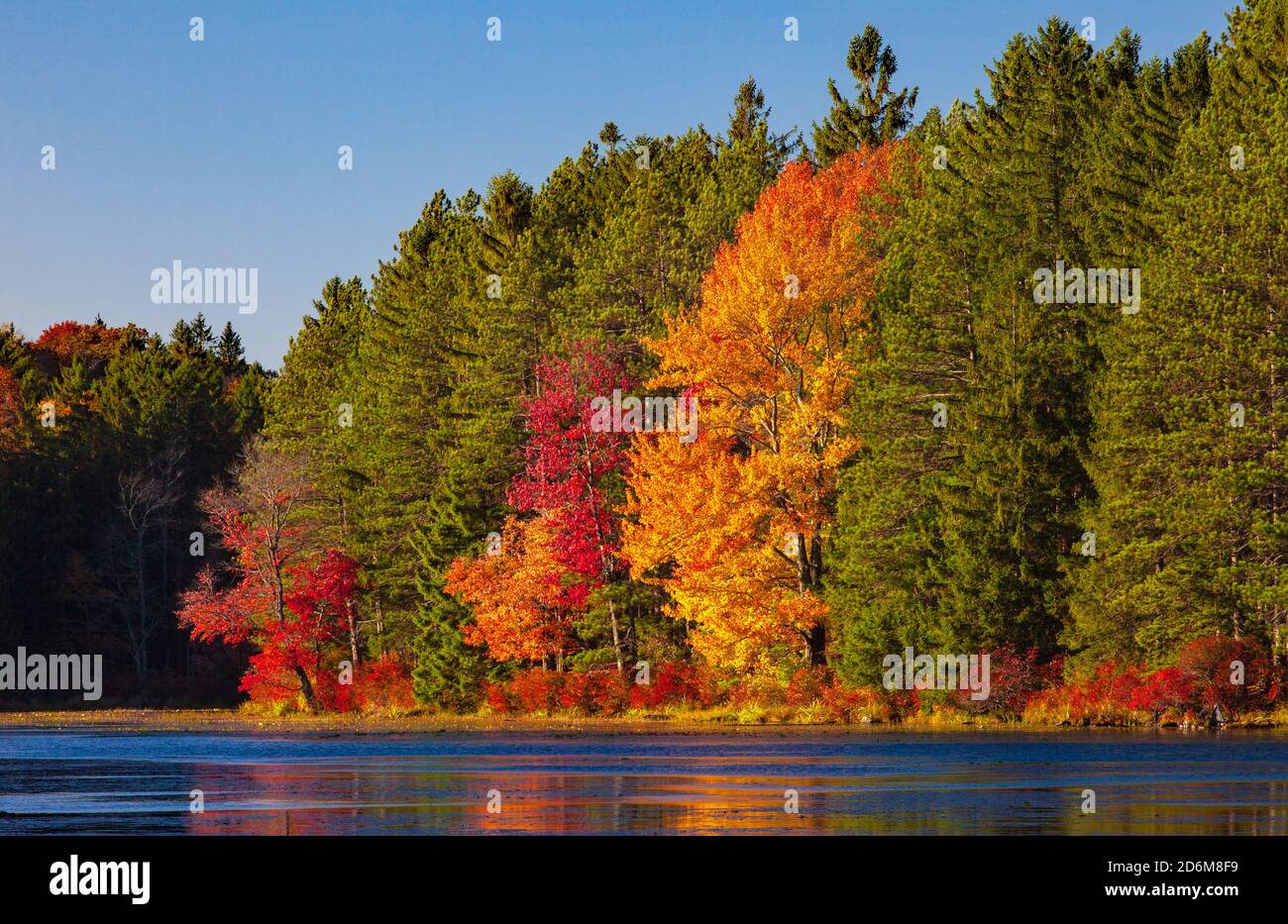 422-acre Promised Land Lake at Promised Land State Park is located in ...