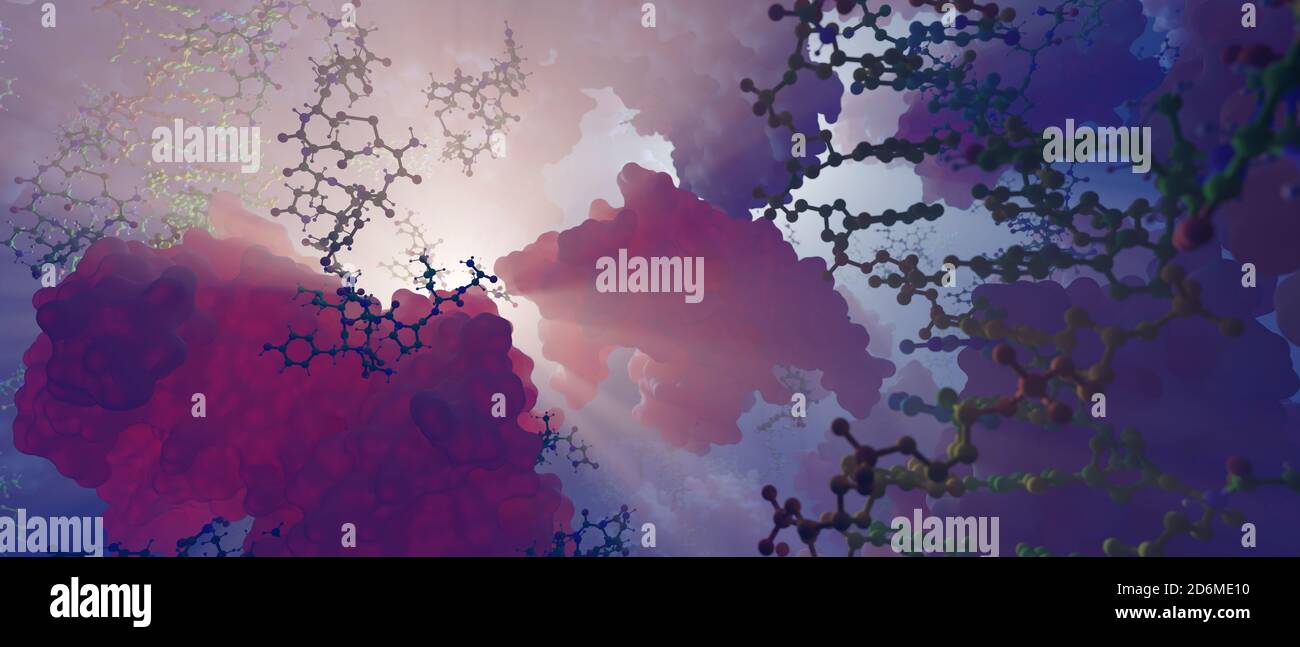 A mix of small biomolecules and large macromolecules (proteins). There ...