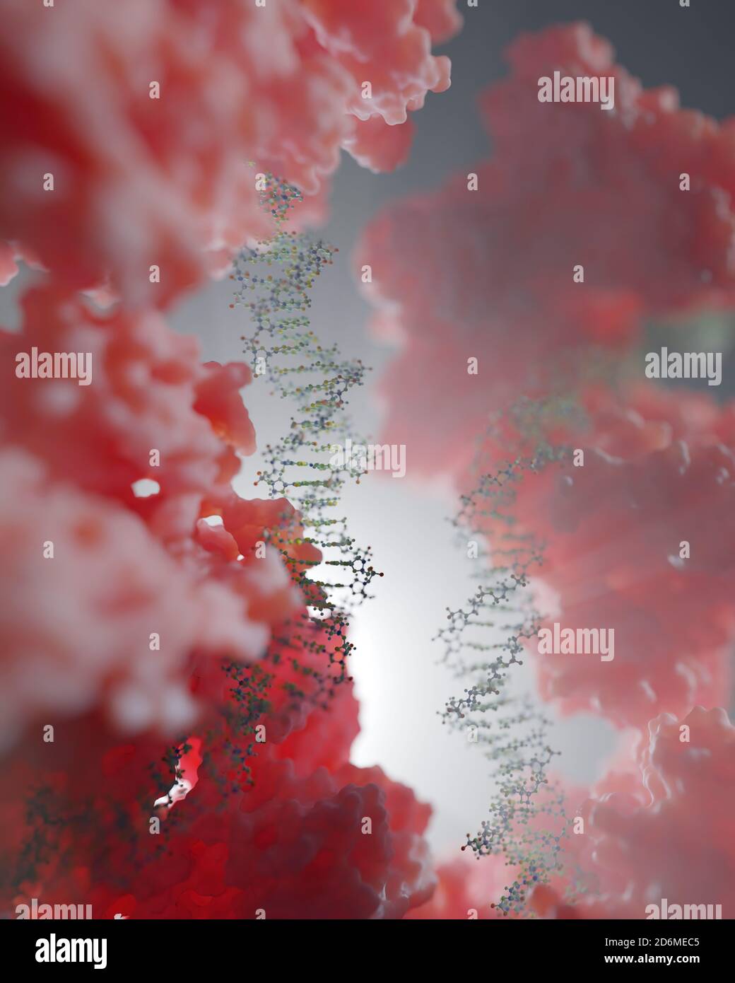 Dna replication hi-res stock photography and images - Alamy