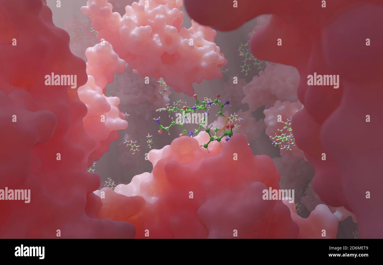 A mix of small biomolecules and large macromolecules (proteins). There ...