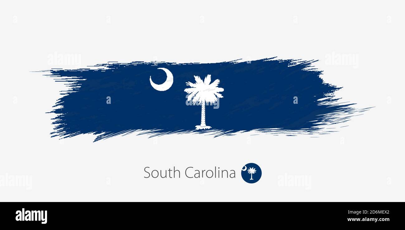 Flag of South Carolina US State, grunge abstract brush stroke on gray ...
