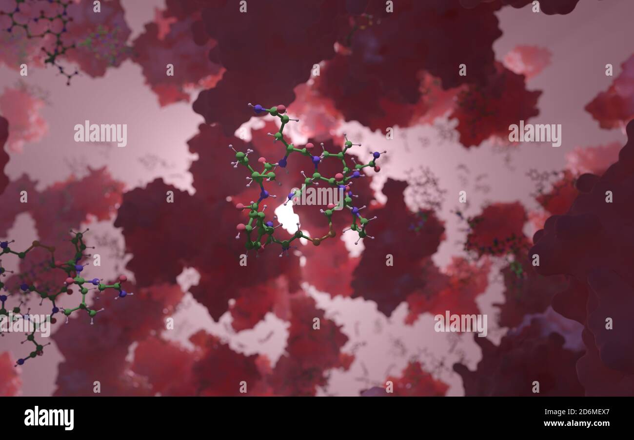 A mix of small biomolecules and large macromolecules (proteins). There ...