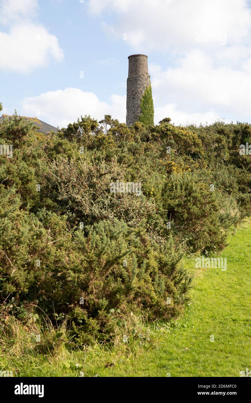 Disused Chimney stack Dolcoath Mine in Camborne, Cornwall Stock Photo ...