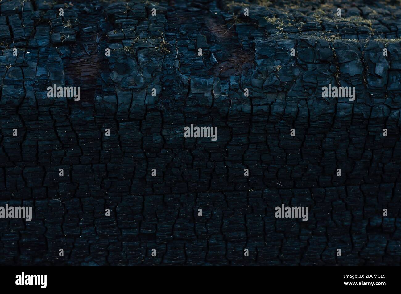 Burned wood texture hi-res stock photography and images - Alamy