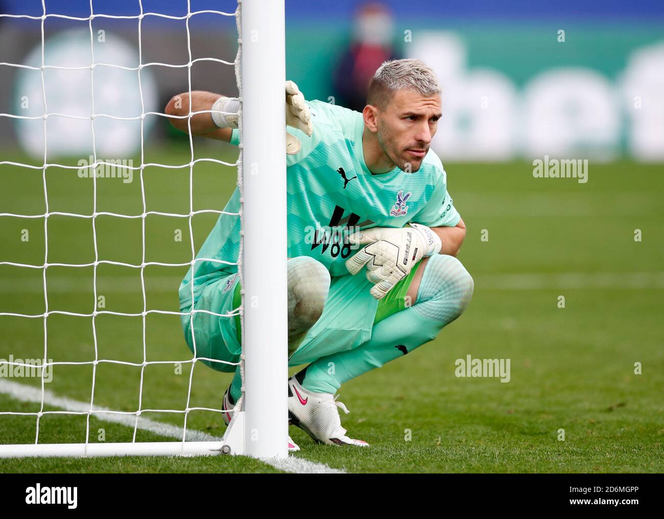 Crystal Palace goalkeeper Vicente Guaita during the Premier League ...