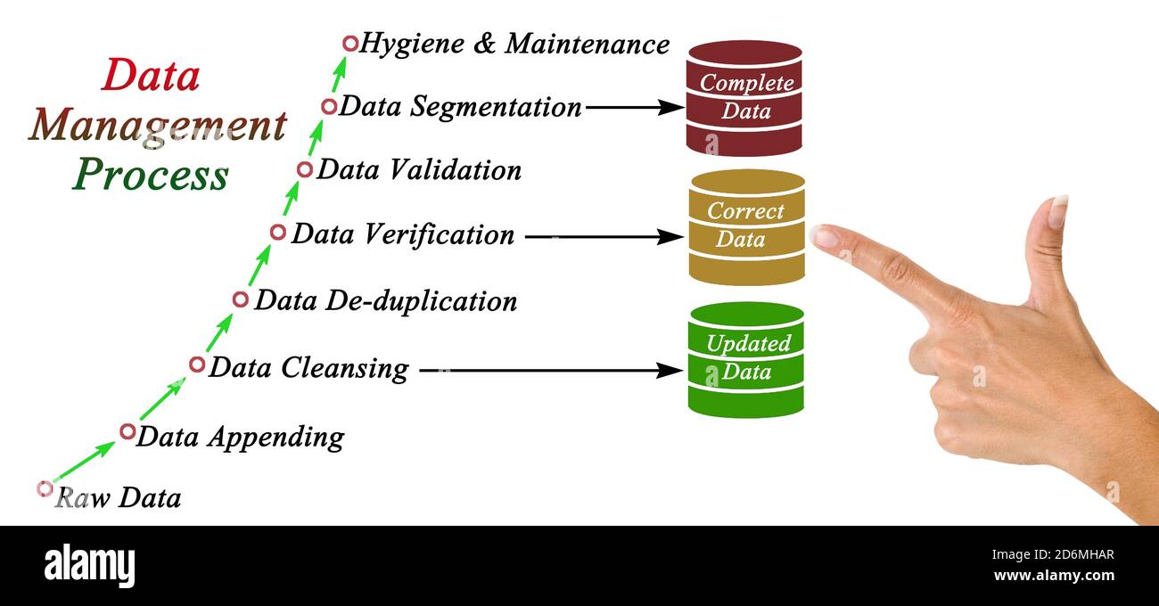 Components of Data Management Process Stock Photo - Alamy
