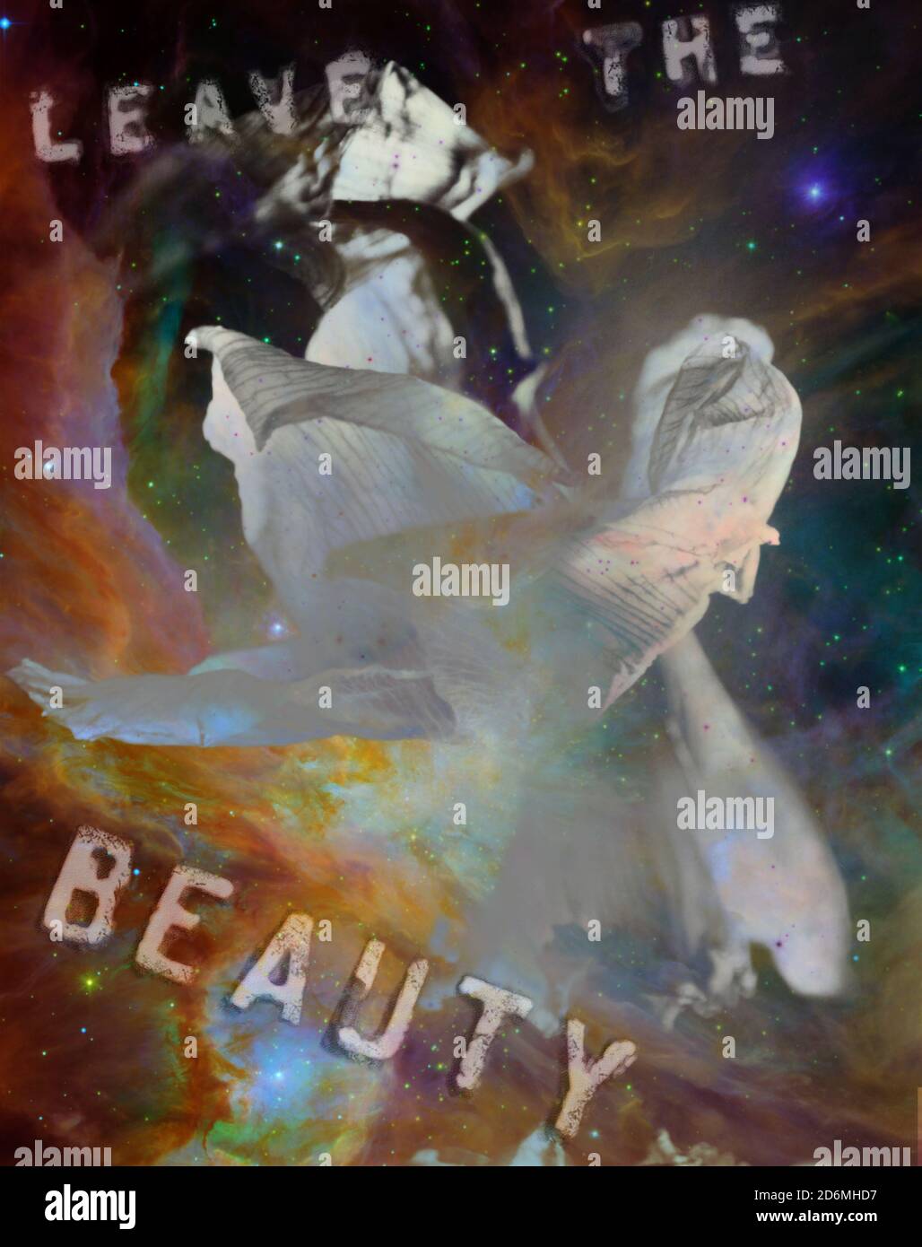 Beauty leave hi-res stock photography and images - Alamy