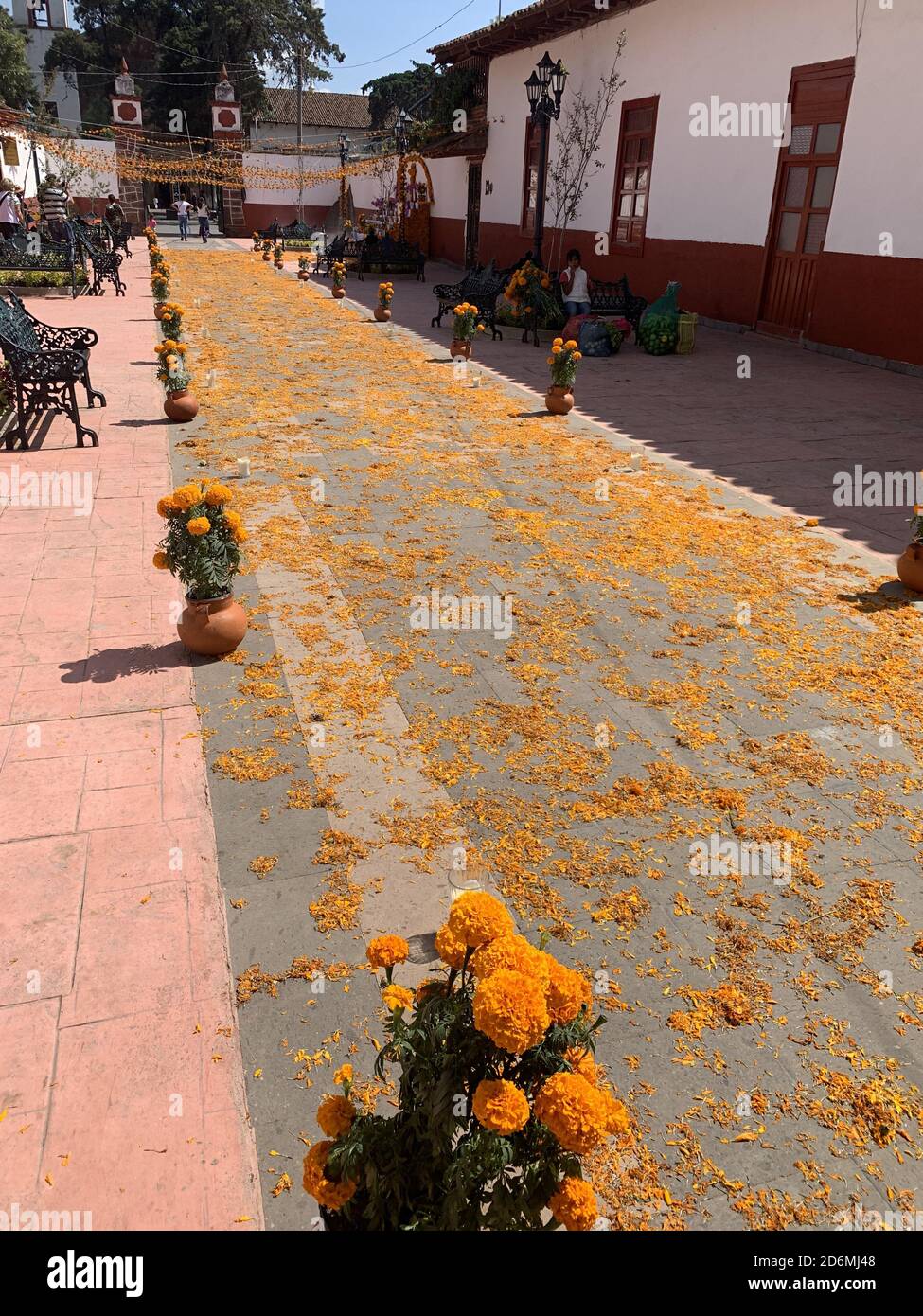 Purepecha High Resolution Stock Photography and Images - Alamy