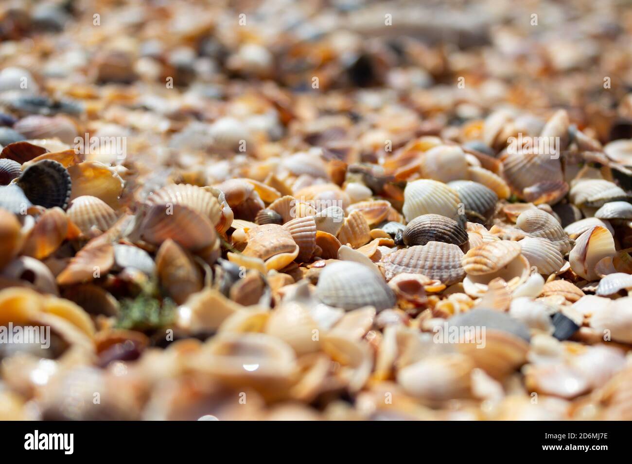 Different sea natural hi-res stock photography and images - Alamy