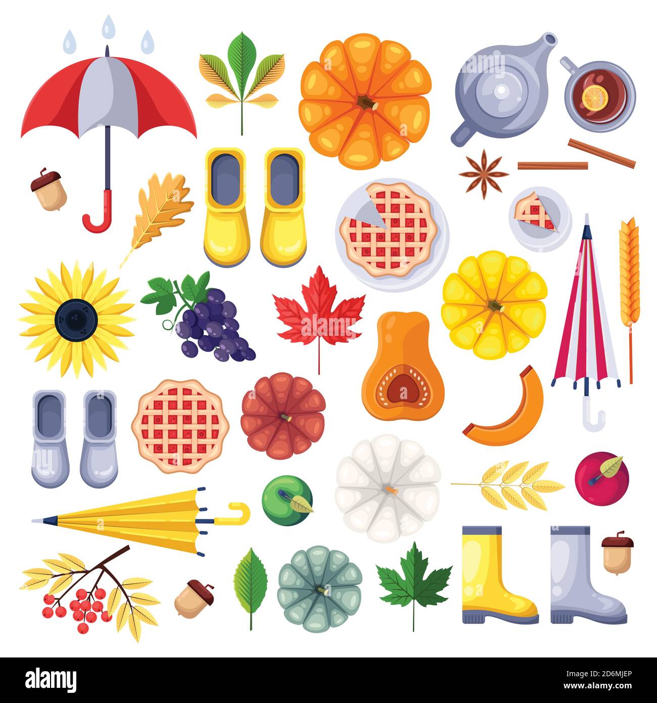 Fall season vector icons and design elements, isolated on white ...