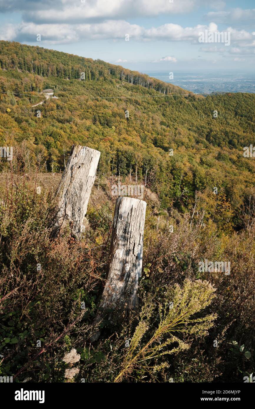 Deforestation rainforest erosion hi-res stock photography and images ...