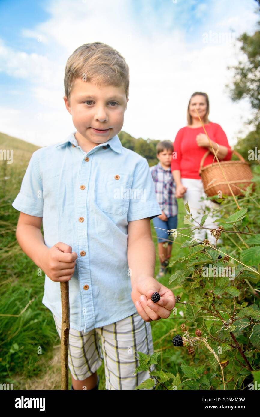 Children foraging picking hi-res stock photography and images - Alamy