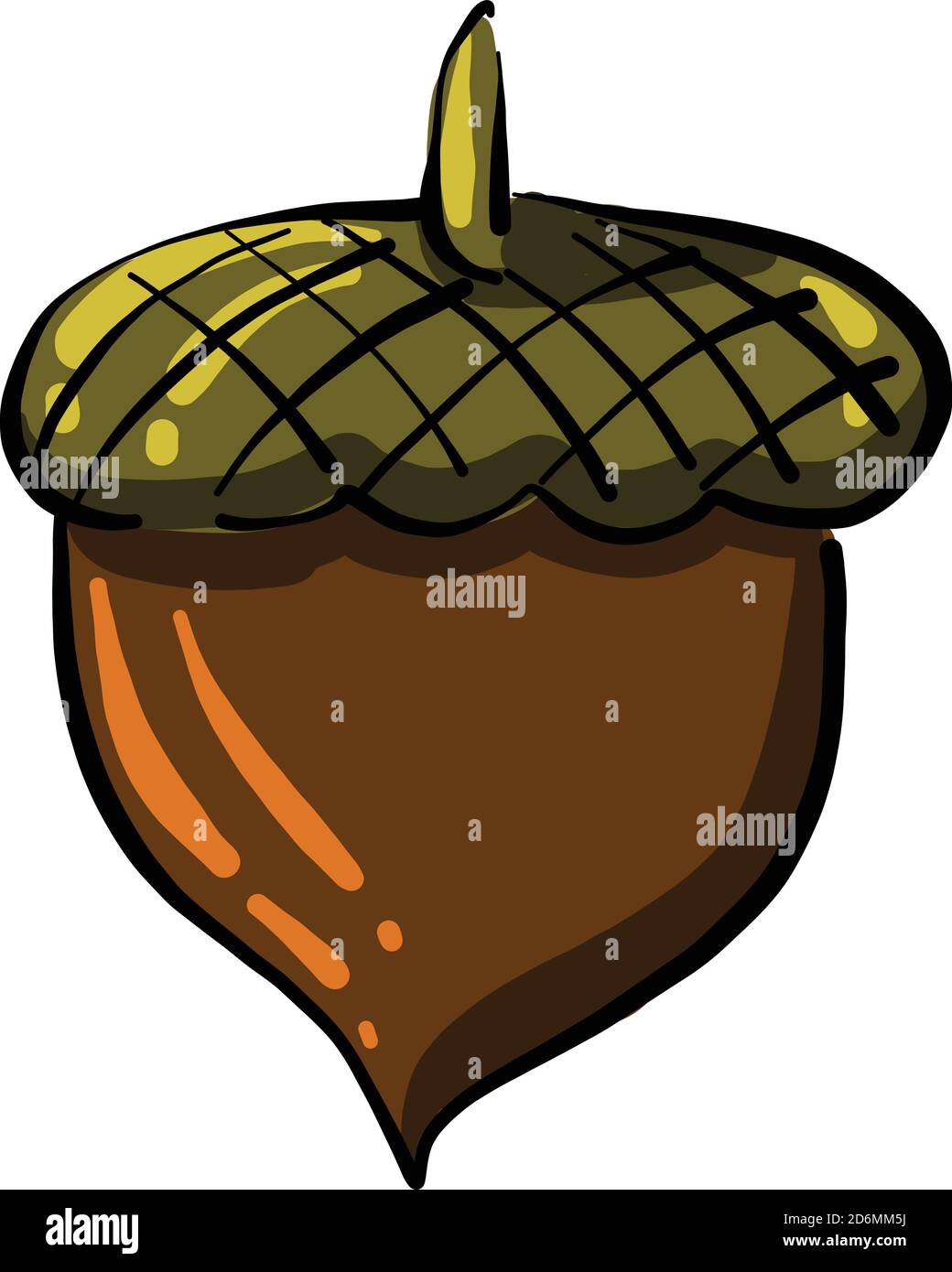 Acorn on branch illustration hi-res stock photography and images - Alamy