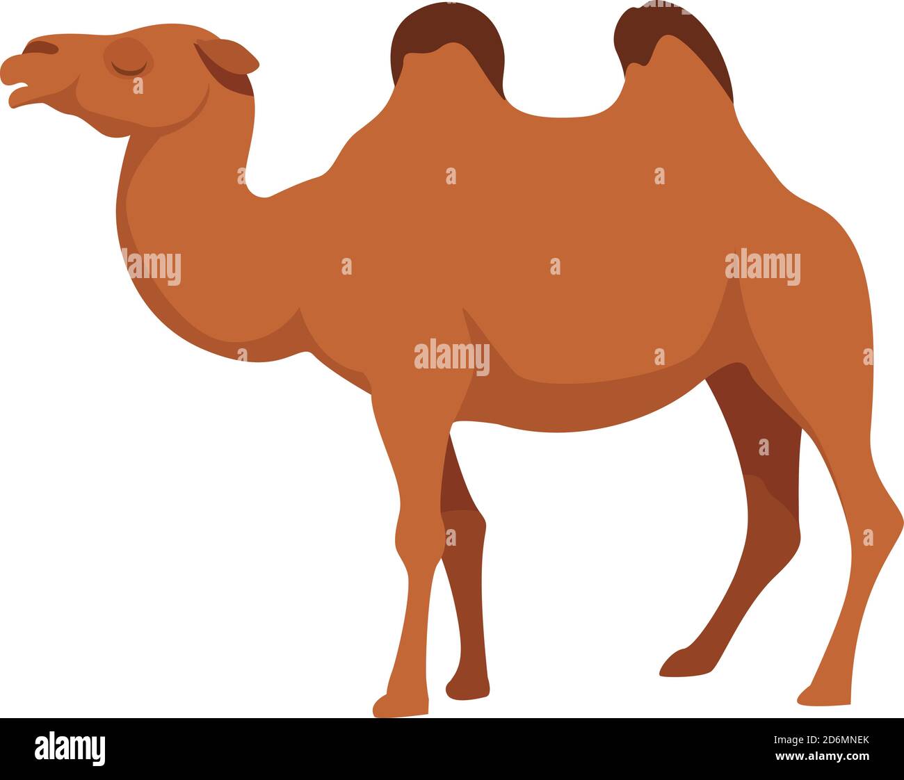 Brown camel, illustration, vector on white background Stock Vector ...
