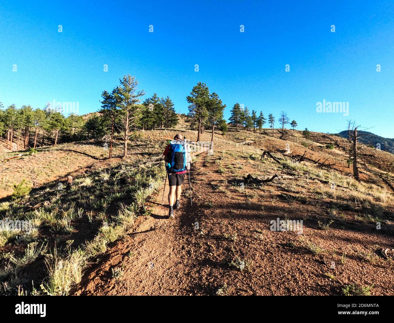 Trekking on the 485 mile Colorado Trail, Colorado Stock Photo - Alamy