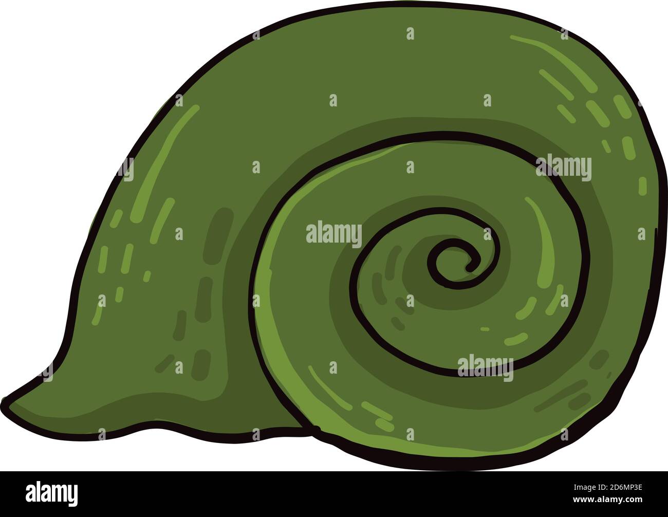 Green snail shell, illustration, vector on white background Stock ...