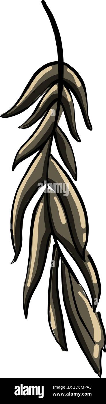 Bird feather leaf, illustration, vector on white background Stock ...