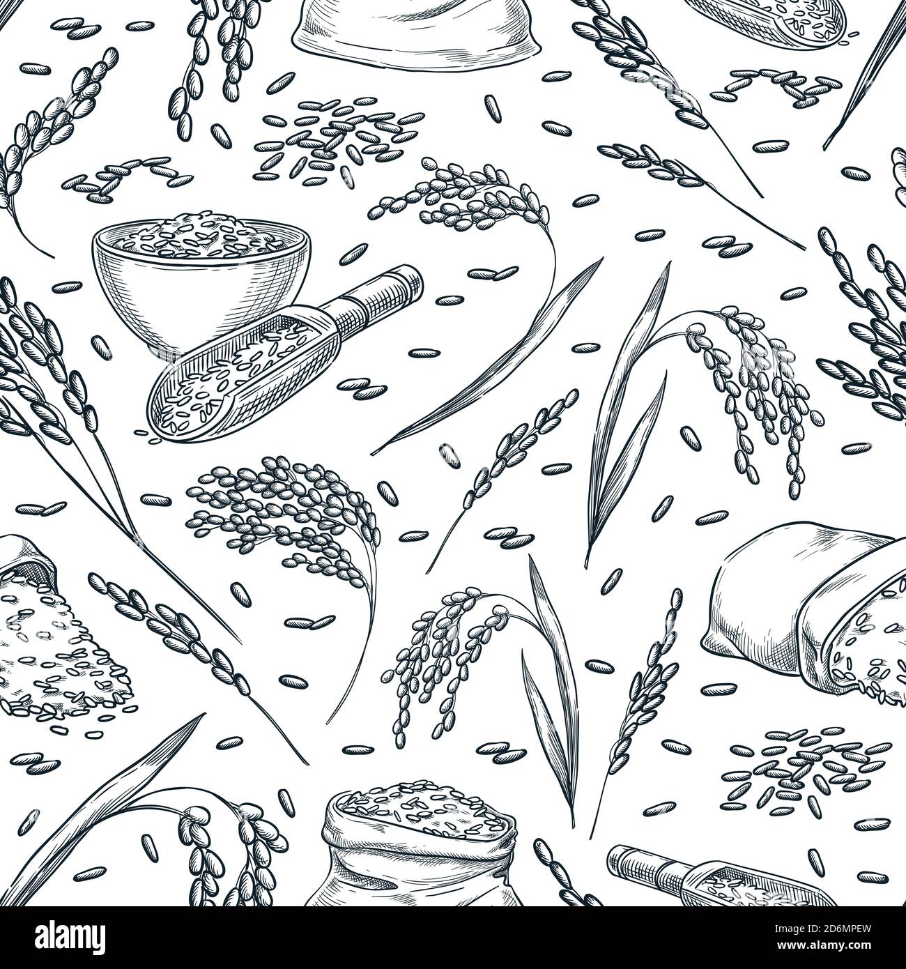 Rice cereal ears, vector seamless pattern. Sketch hand drawn ...