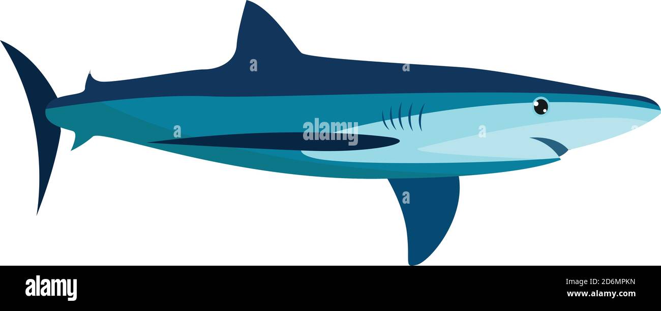 Blue shark, illustration, vector on white background Stock Vector Image ...