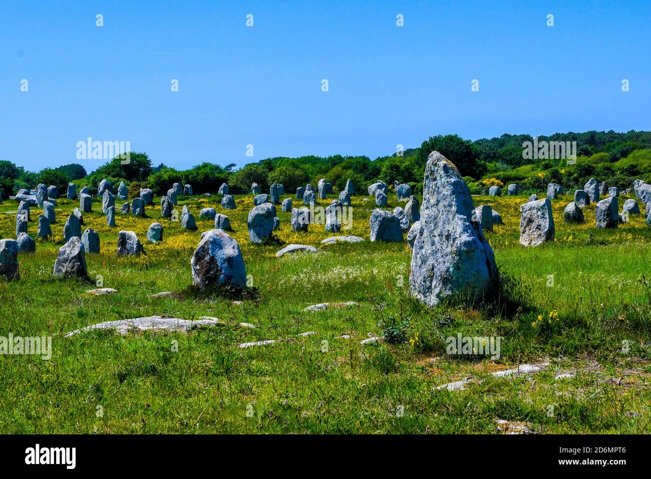 Standing stones in the Menec alignment, one of the three major groups ...