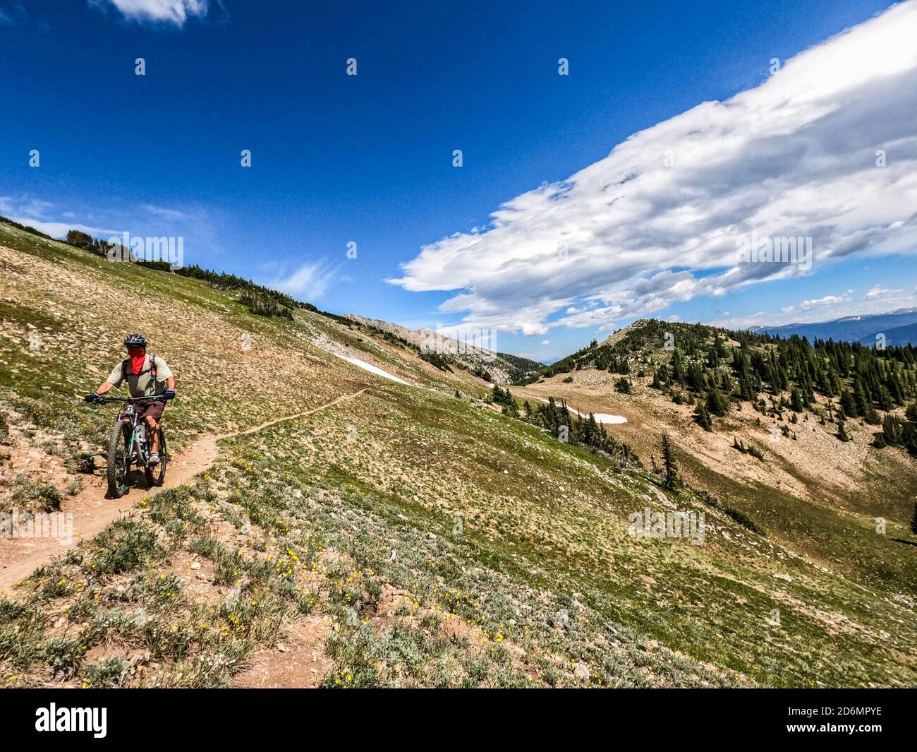 Mountain biking the long distance Colorado Trail, Colorado Stock Photo ...