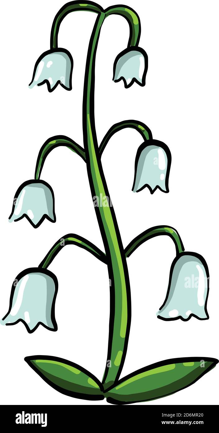 Small wildflower Cut Out Stock Images & Pictures - Alamy