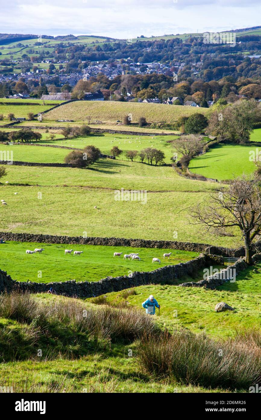 View of the Yorkshire Dales with sheep grazing in the hills above ...