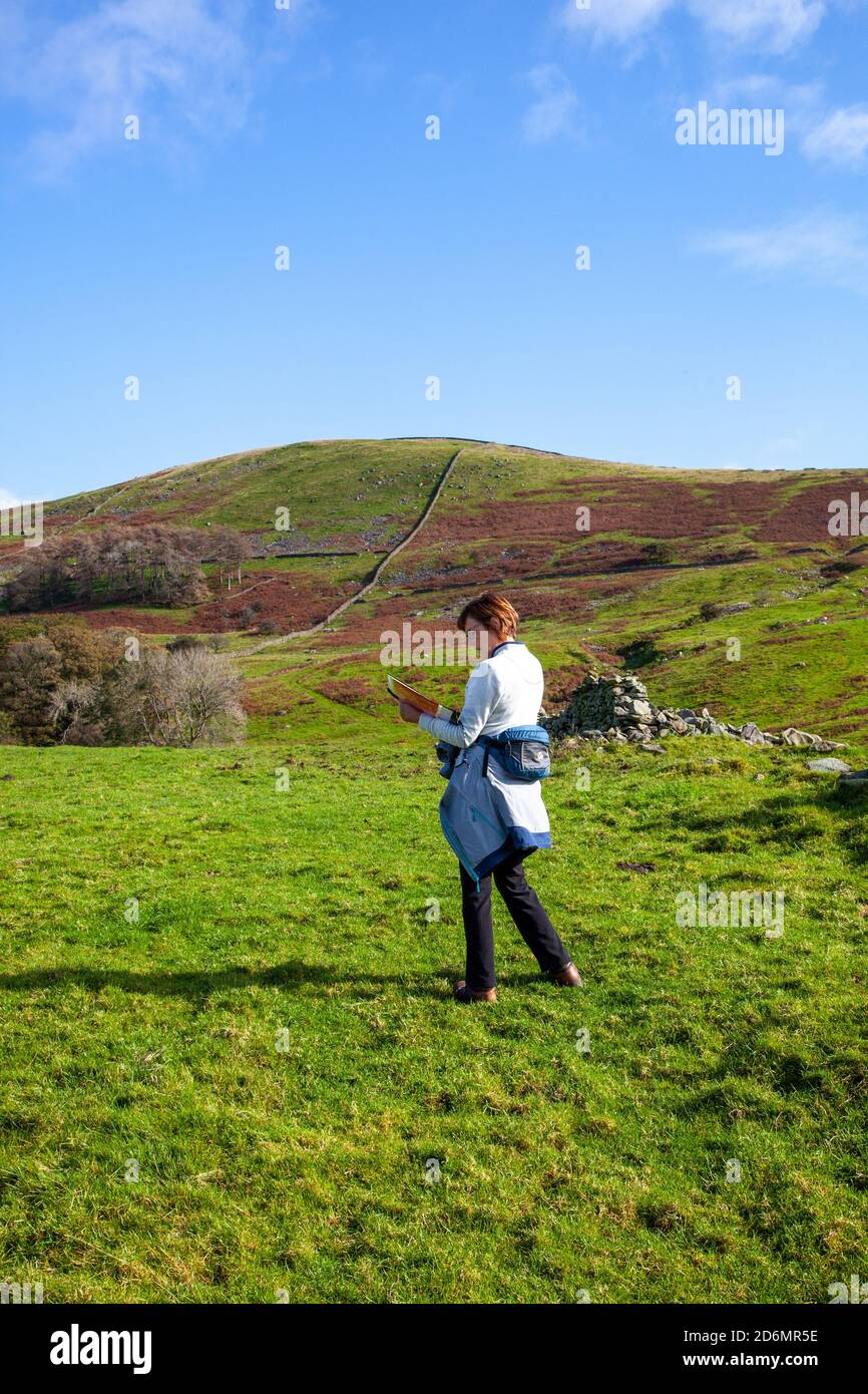 Woman walking rambling in the north Yorkshire Dales countryside in the ...