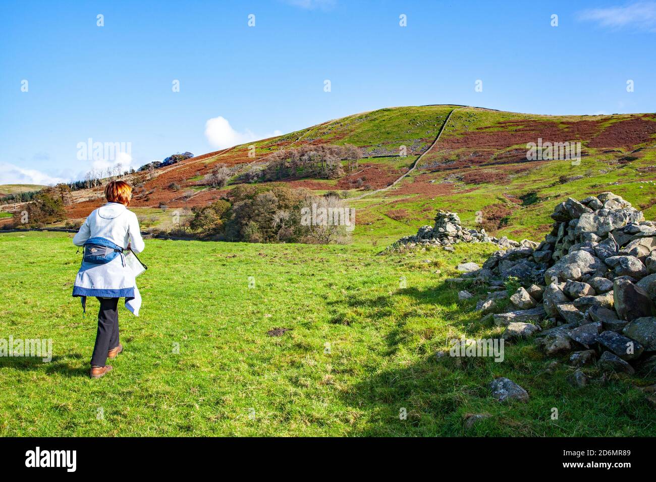Woman walking rambling in the north Yorkshire Dales countryside in the ...