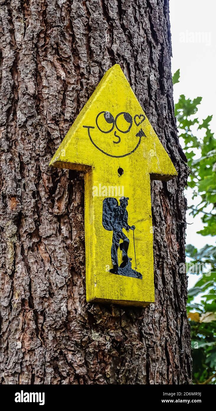 Yellow arrow on a tree trunk Stock Photo - Alamy