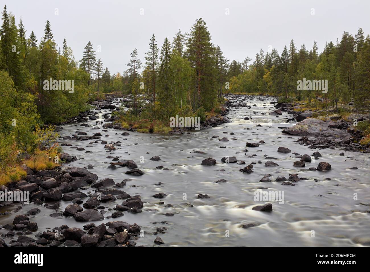 River in Northern Sweden Stock Photo - Alamy