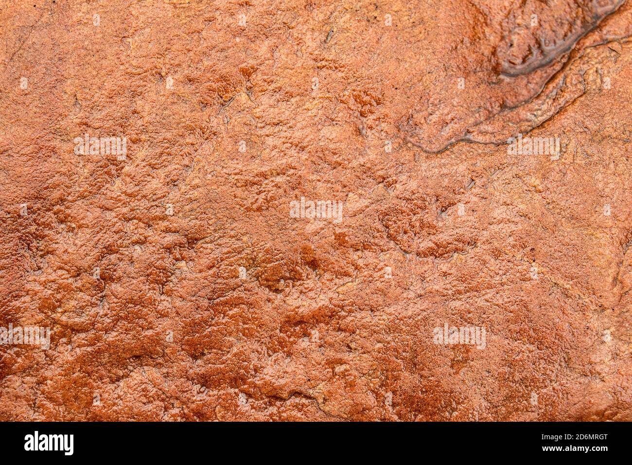 Top view of textured wet stone surface. Stone surface background. Close ...