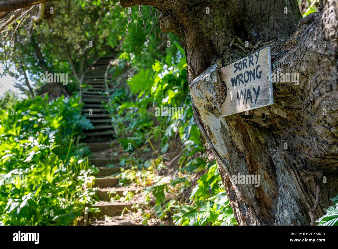 Waiheke Island New Zealand - October 6 2020; Wrong way sign beside path ...