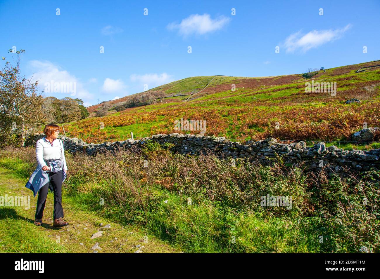 Woman walking rambling in the north Yorkshire Dales countryside in the ...