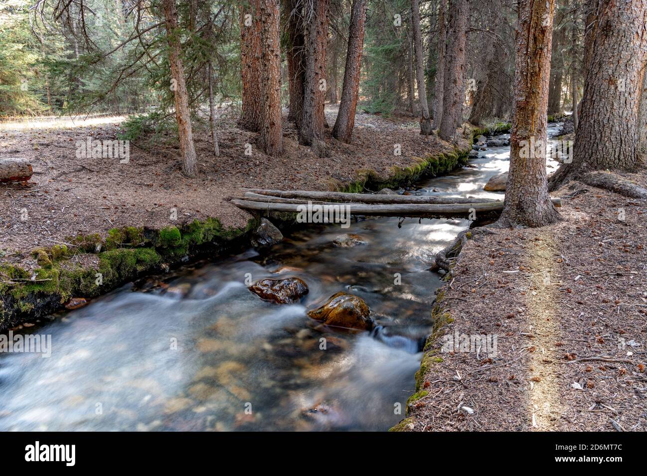 Wild river with a three-log bridge built for crossing Stock Photo - Alamy