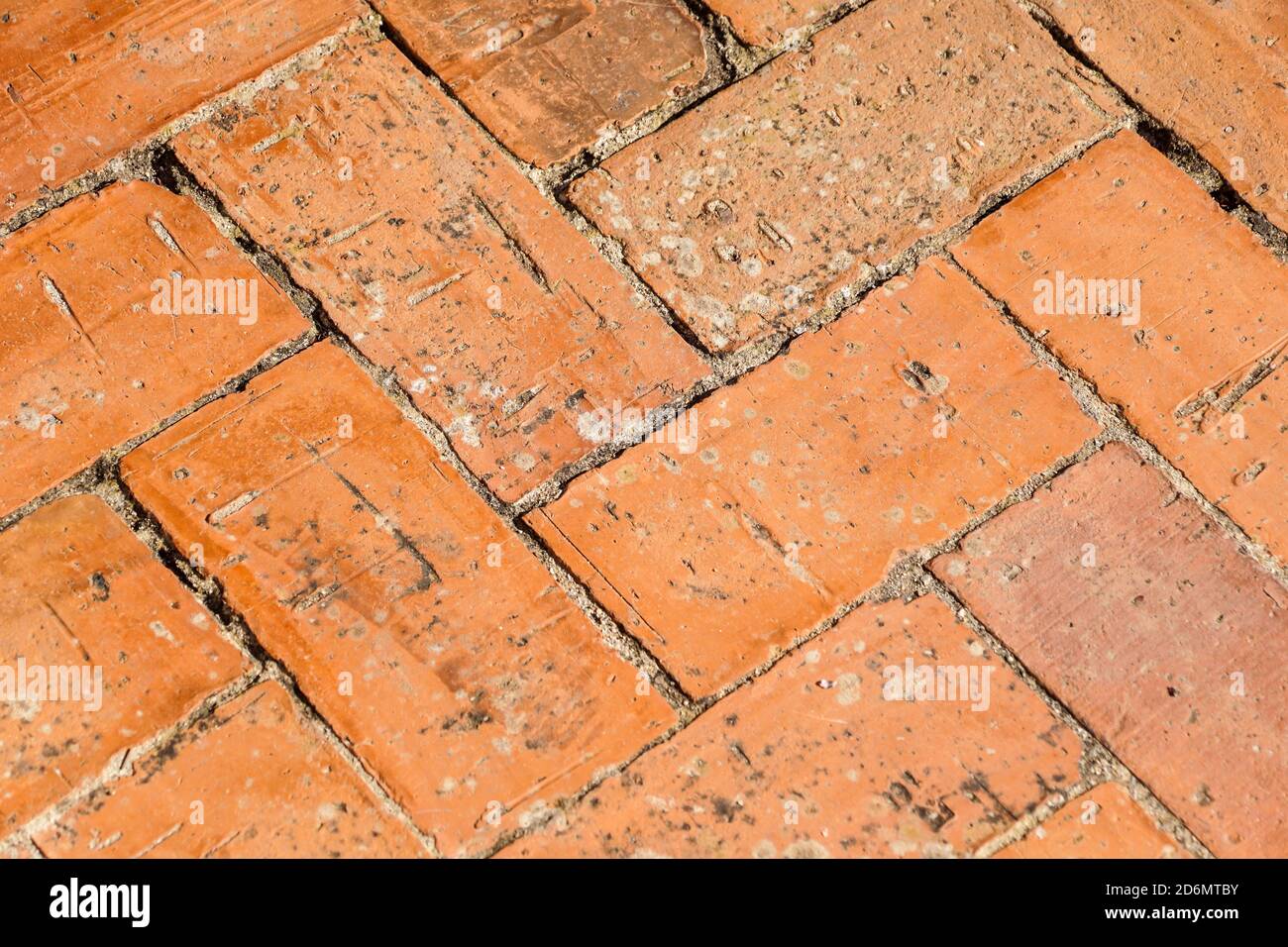Brick pavement placed in spike, urban background and texture of a ...