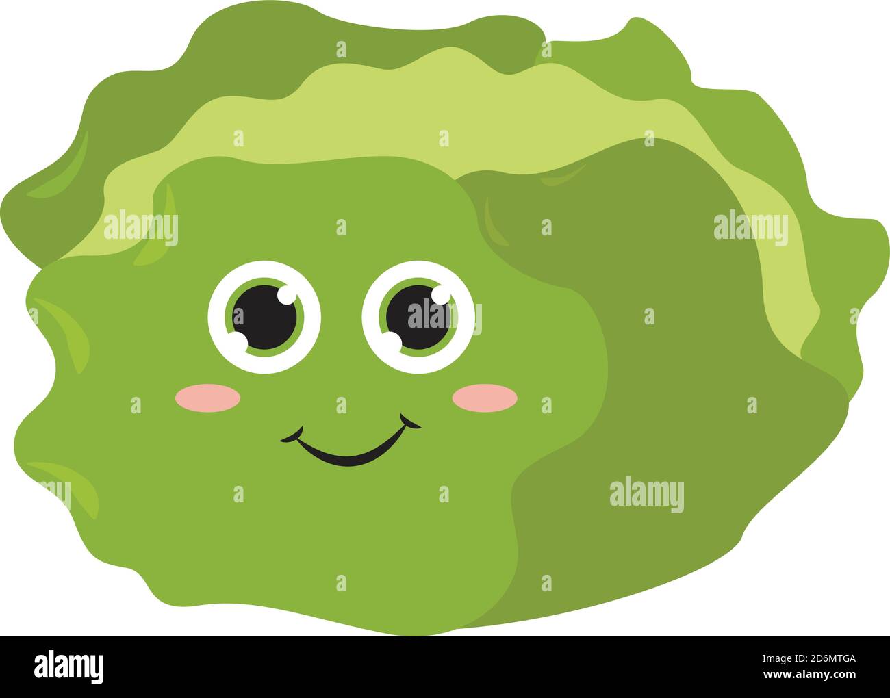 Raw cabbage isolated on Stock Vector Images - Alamy